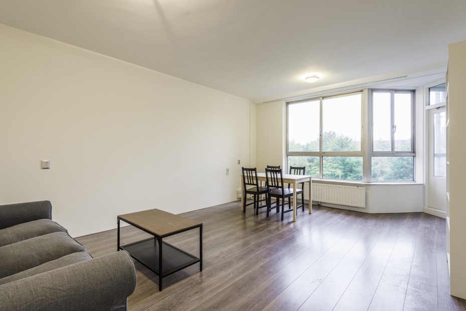 Shared apartment for Rent in Amsterdam, Netherlands | Habyt